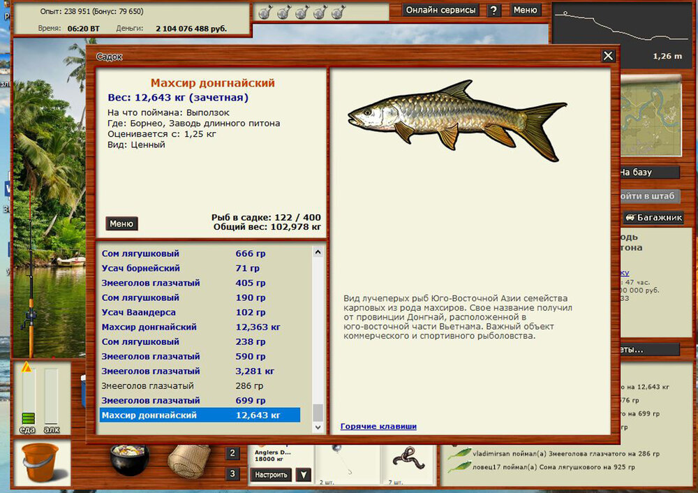 Махсир донгнайский - Л-М - Форум Русской Рыбалки
